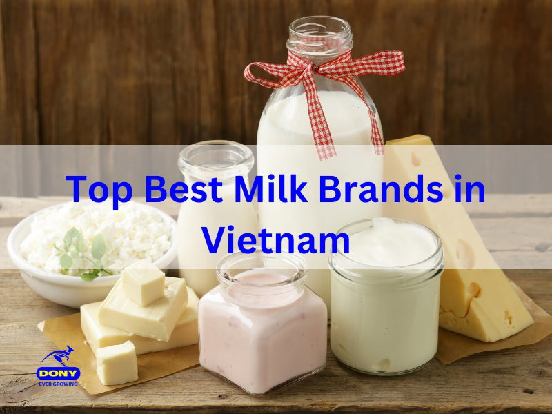 Top 10+ Best Milk Brands in Vietnam 2025